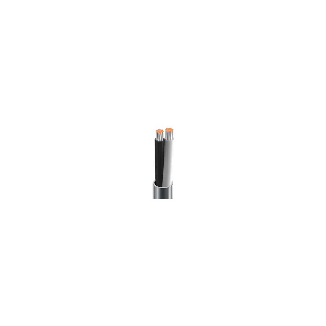 Belden 8461 CMG 2-Conductor Paired Audio/Electronic Cable Str TC 18AWG ...