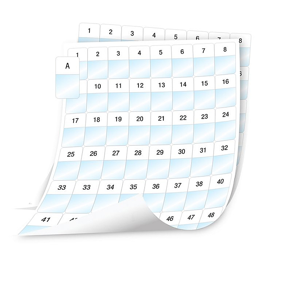 Dymo 1908553 XTL 1-Inch x 1 5/8-Inch (24 mm x 42 mm) Laminated Wire ...