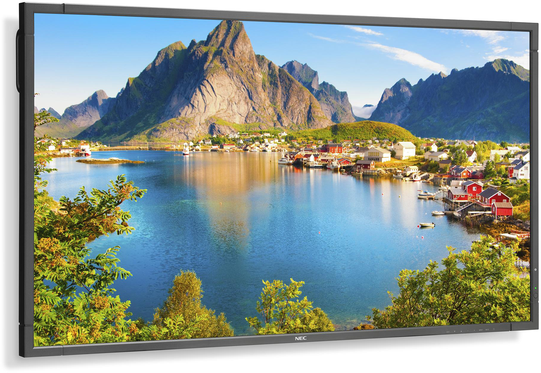 NEC E805 80 Inch LED Backlit Commercial-Grade Display - 1920 x 1080 ...