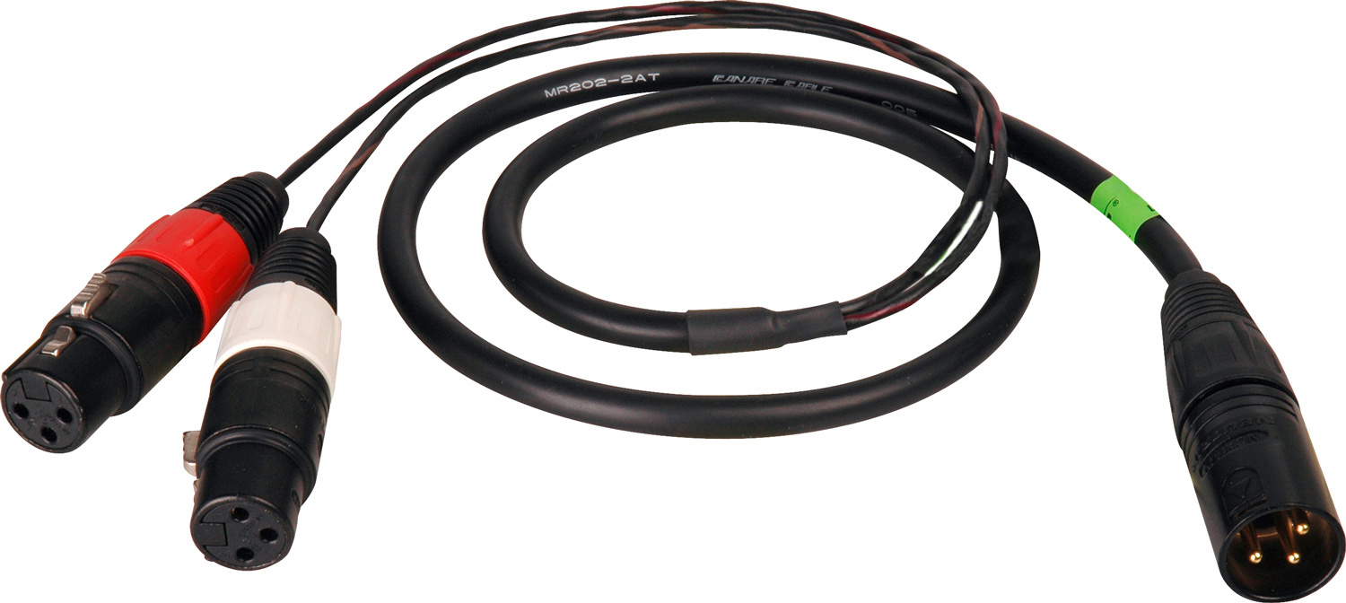 Connectronics Premium Y-Cable - XLR Male To 2 -XLR Female -3ft