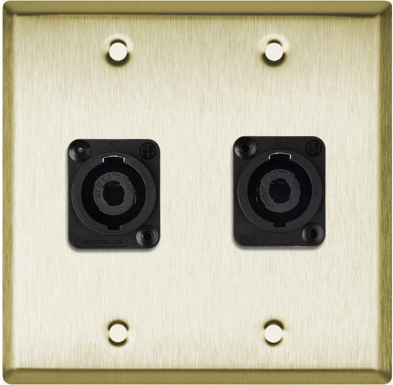 My Custom Shop 2-Gang Brass Wall Plate w/ 2 NEUTRIK NL4MP -D-Series 4 ...