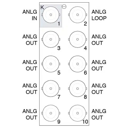 Ross UDA-8705A-R2L openGear Analog Video Utility Distribution Amplifier ...