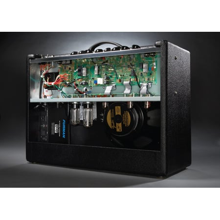 Furman AC-215A Compact Power Conditioner with Auto-Resetting Voltage ...